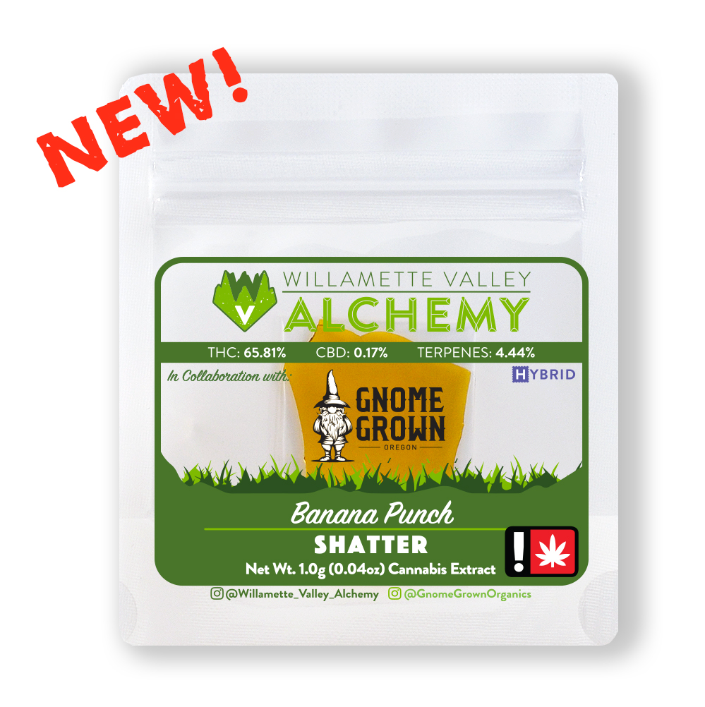 BananaPunch_Shatter_NEW - Willamette Valley Alchemy